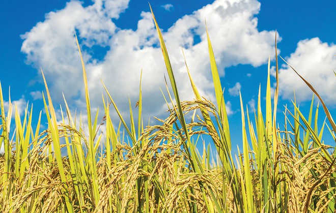 PVFCCo: Answering questions from Shareholders